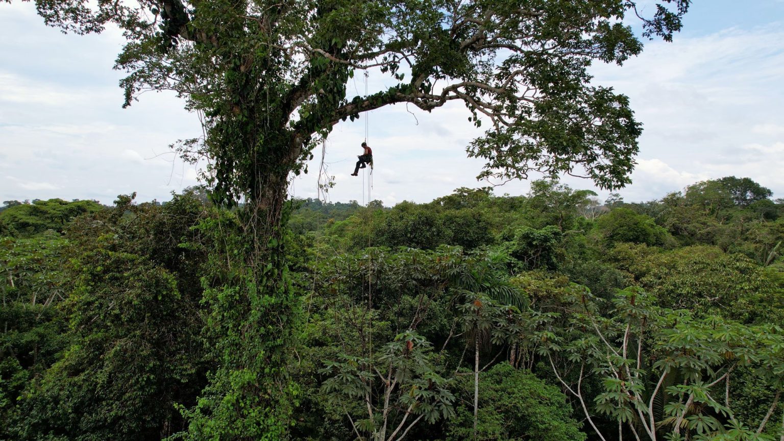 Exploring Yasuni National Park: Ecuador's Biodiverse Treasure in the ...